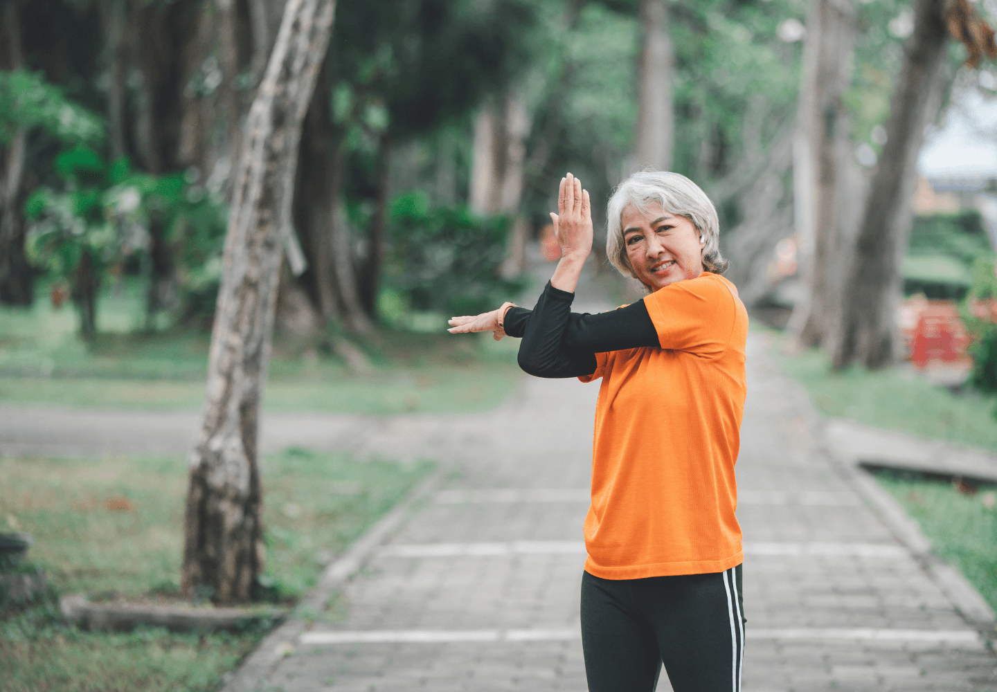 O Guia Completo de Exercícios Físicos para Idosos em Busca de uma Vida ...